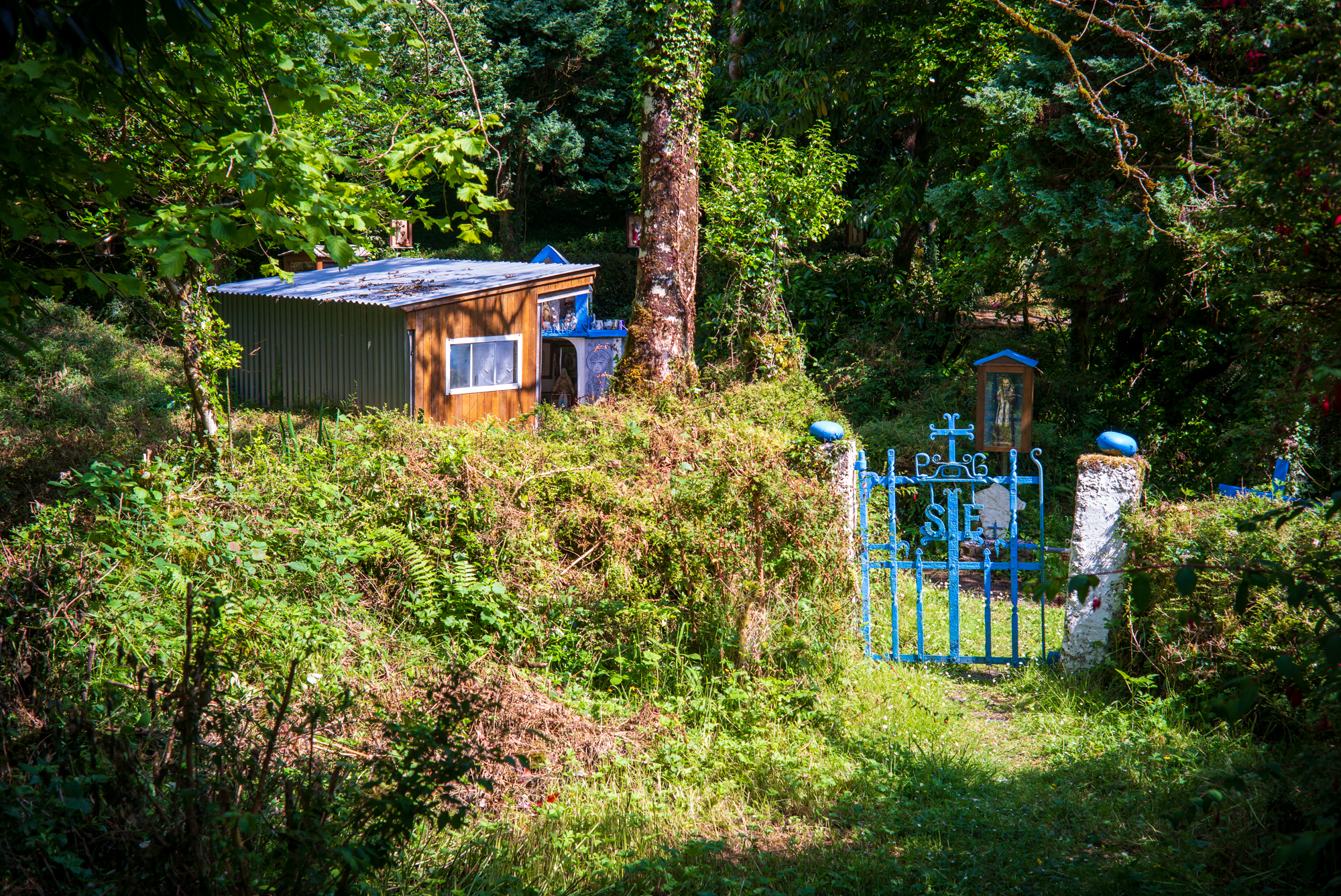 Ireland – St. Flannen’s Holy Well (& the Unusual Tree) – Barnaby Nutt