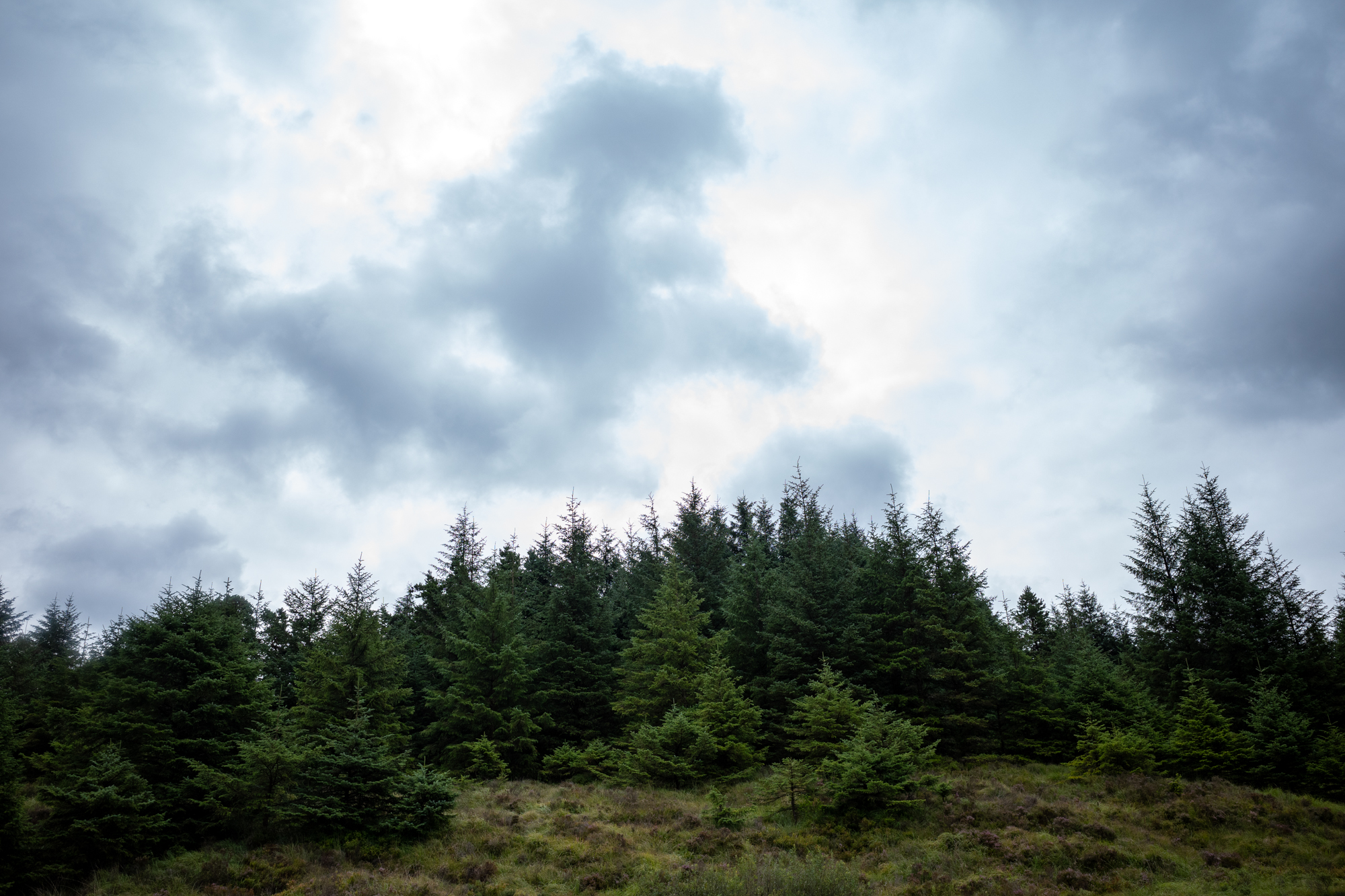 Hiking – Gortnamearacaun Loop, Clare – Barnaby Nutt